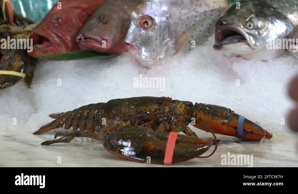 Hand cra Stock Videos & Footage - HD and 4K Video Clips - Alamy