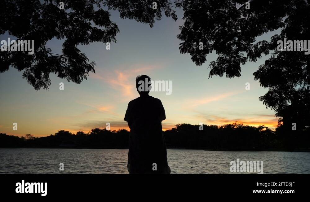 Thinking tree Stock Videos & Footage - HD and 4K Video Clips - Alamy