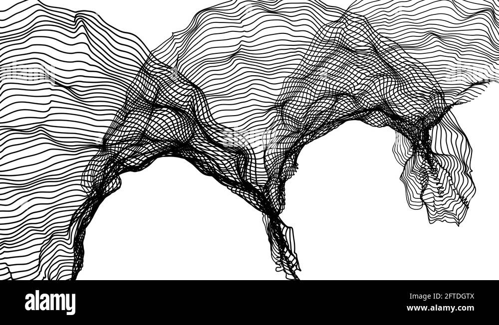 Abstract modern lines background motion background loop white black ...