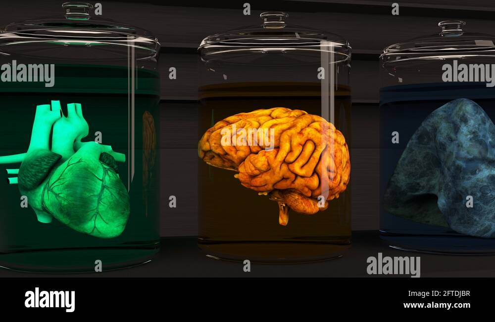 4K Human Organs in Science Laboratory Glasses Cinematic 3D Animation 1 ...