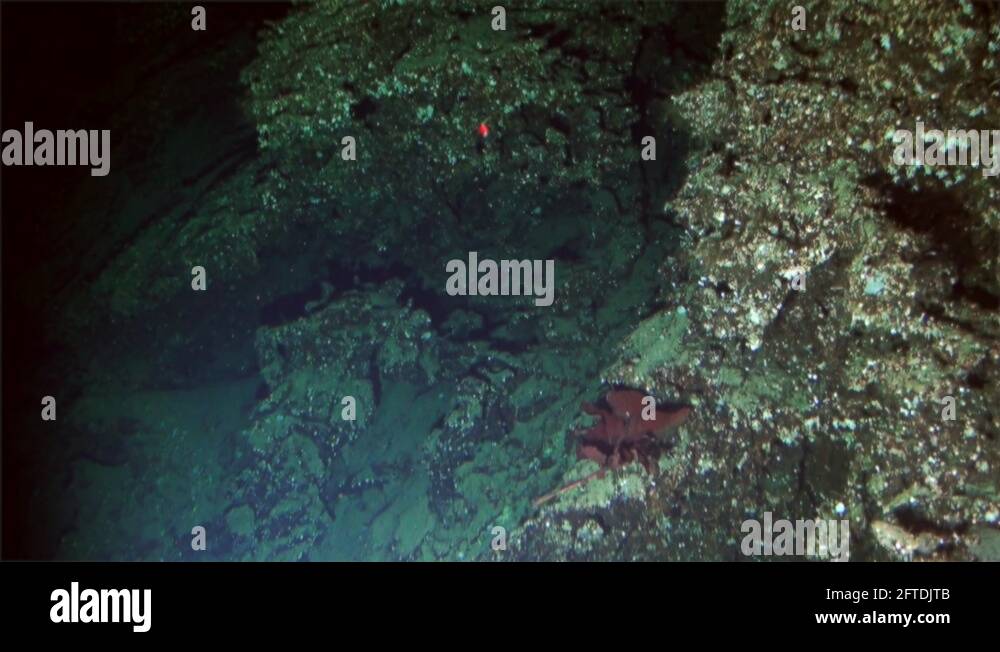 Underwater deep sea mountains from submarine Pacific Ocean Cocos Island ...