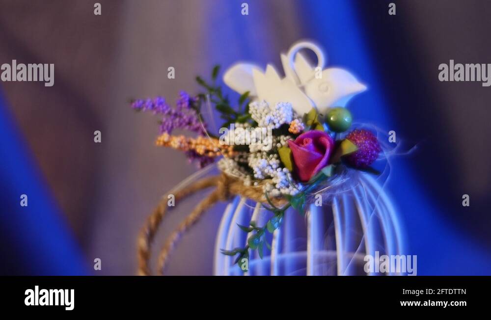 Hung and tied up Stock Videos & Footage - HD and 4K Video Clips - Alamy