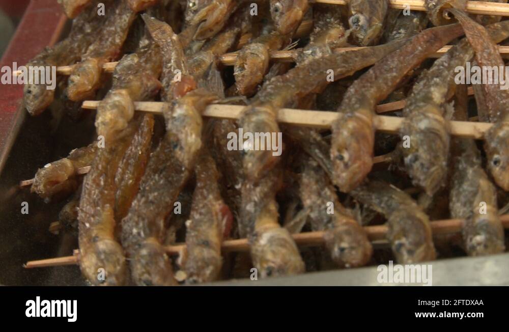 China fish restaurant Stock Videos & Footage - HD and 4K Video Clips ...