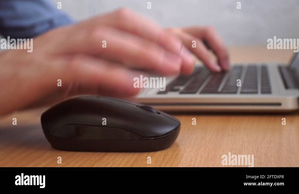 Mouse party Stock Videos & Footage - HD and 4K Video Clips - Alamy