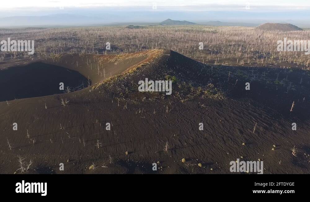 Volcano. Forest after a volcanic eruption. Burnt forest. The lava of ...