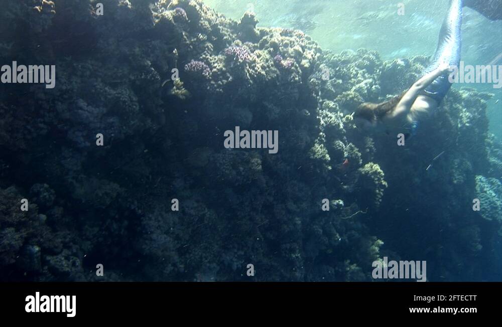 Underwater model free diver swims in clean transparent blue water in ...