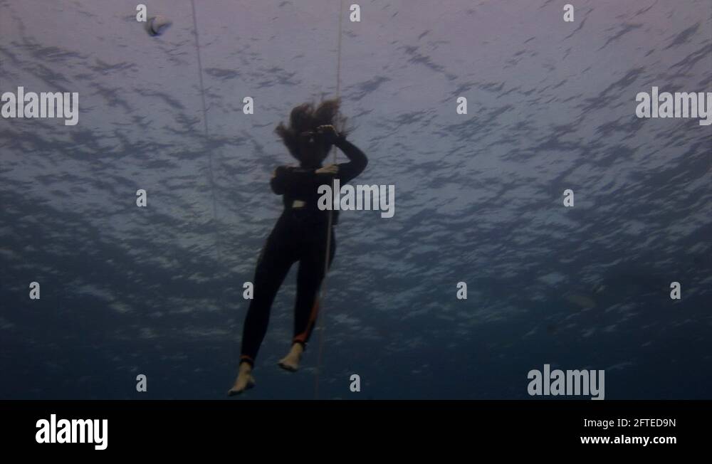 Underwater model free diver swims in clean transparent blue water in ...