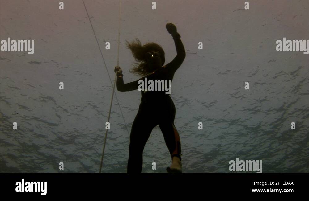 Underwater model free diver swims in clean transparent blue water in ...