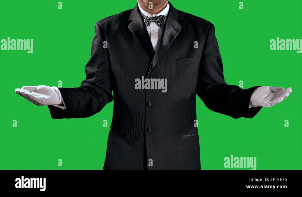 4K Butler Waiter Man, White Gloves and Black Suit and Bow Tie, Green ...