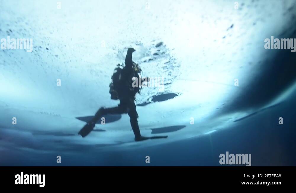 Shell diver Stock Videos & Footage - HD and 4K Video Clips - Alamy