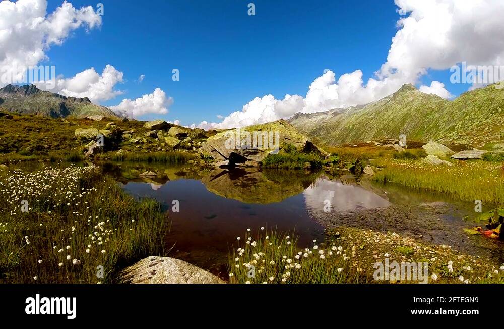 Ecology ecosystem environment scenery Stock Videos & Footage - HD and ...