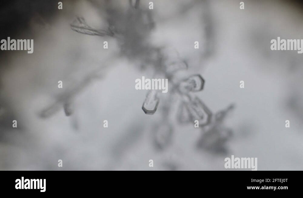 Ice crystal microscope Stock Videos & Footage - HD and 4K Video Clips ...