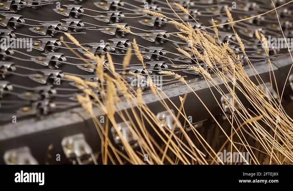 Clode_up Stock Videos & Footage - HD and 4K Video Clips - Alamy