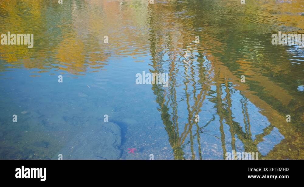 Bridge reflection in water Stock Videos & Footage - HD and 4K Video ...