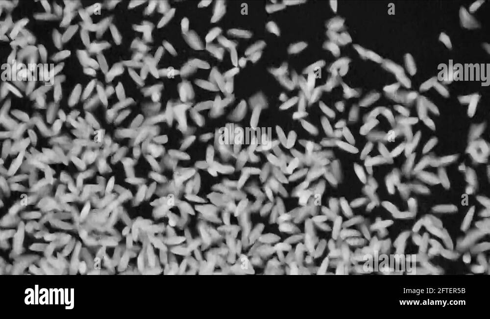 Marriage rice Stock Videos & Footage - HD and 4K Video Clips - Alamy