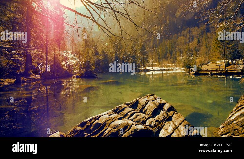 Ecology ecosystem environment scenery Stock Videos & Footage - HD and ...