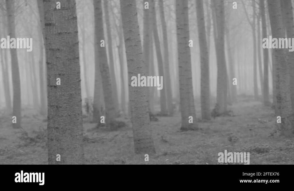 Hiding figure Stock Videos & Footage - HD and 4K Video Clips - Alamy