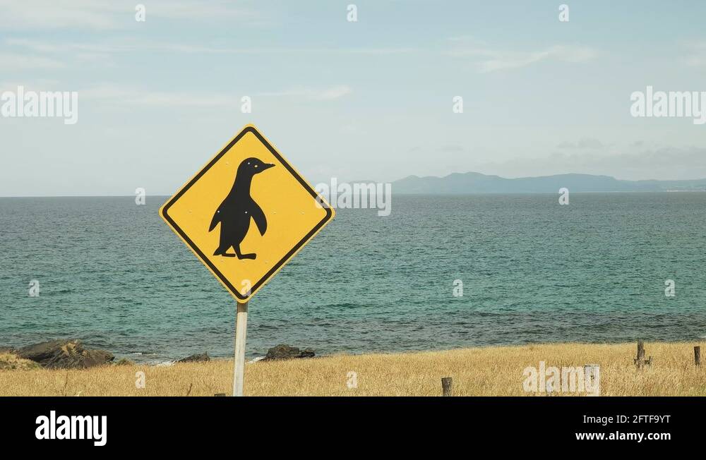 Tasmanian road sign Stock Videos & Footage - HD and 4K Video Clips - Alamy