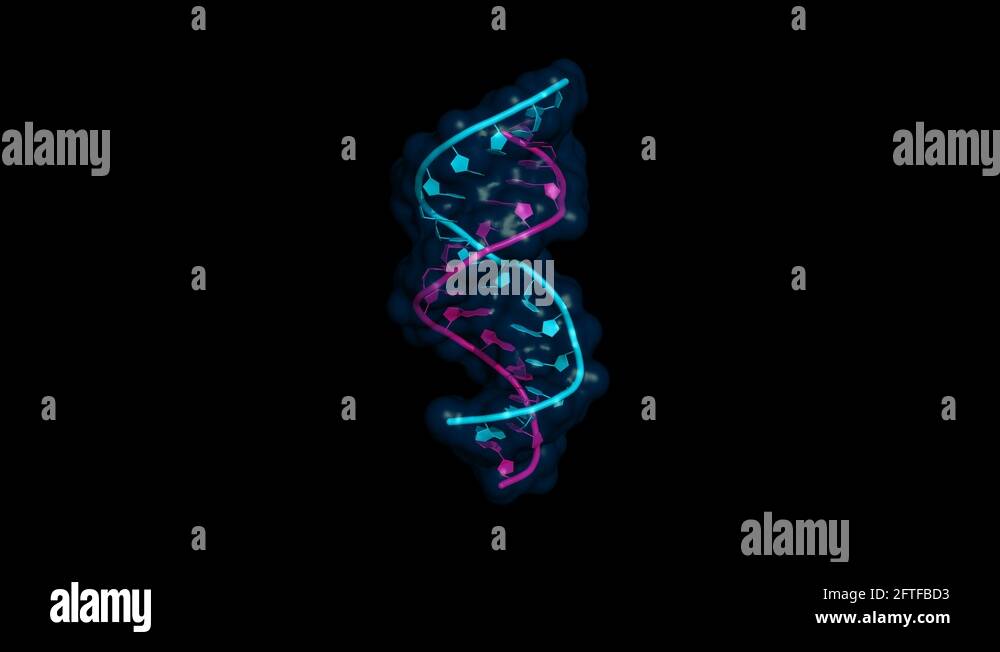 Mirna and rna Stock Videos & Footage - HD and 4K Video Clips - Alamy