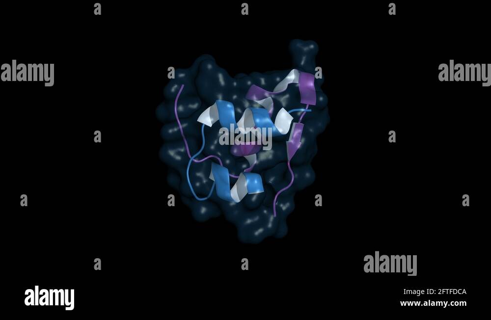 Insulin metabolism Stock Videos & Footage - HD and 4K Video Clips - Alamy