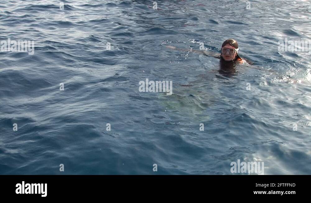 Flippers woman Stock Videos & Footage - HD and 4K Video Clips - Alamy