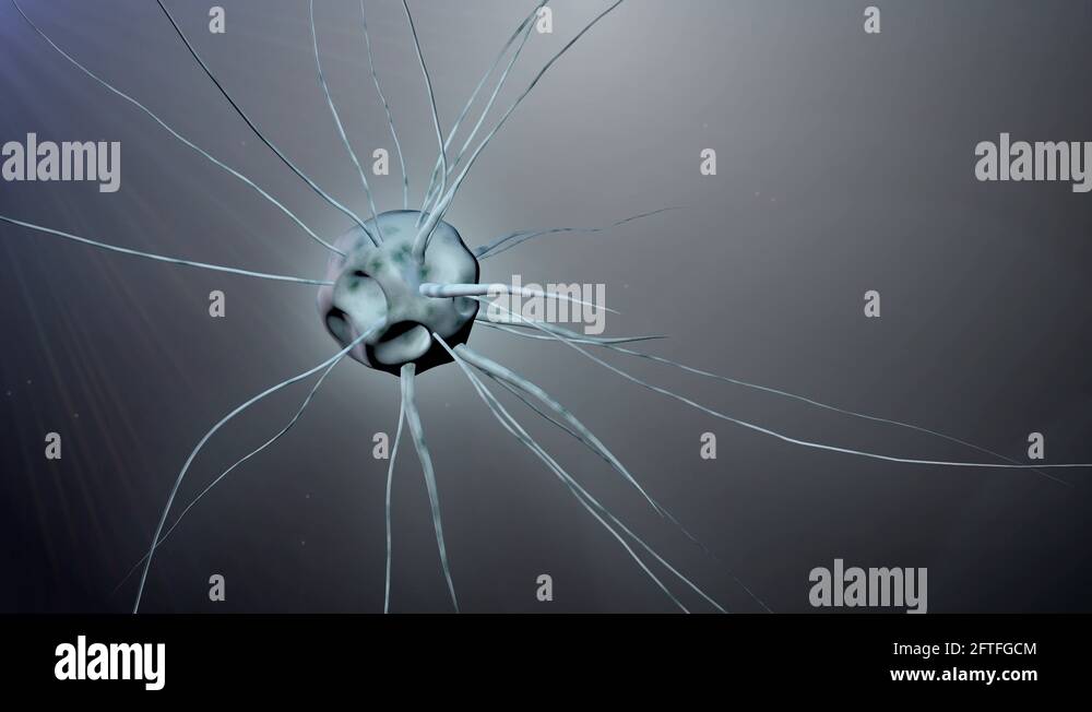 Cell manipulation Stock Videos & Footage - HD and 4K Video Clips - Alamy