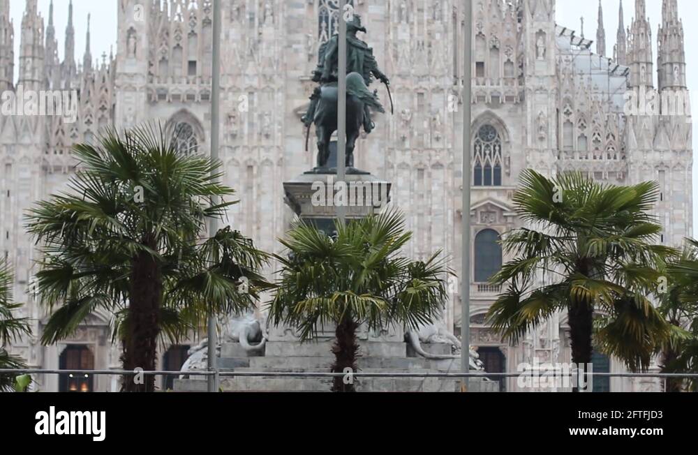 Duomo palm trees Stock Videos & Footage - HD and 4K Video Clips - Alamy