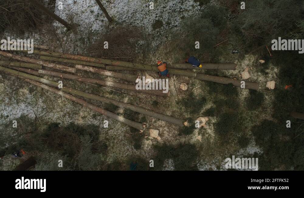 Lumbermen Stock Videos & Footage - HD and 4K Video Clips - Alamy