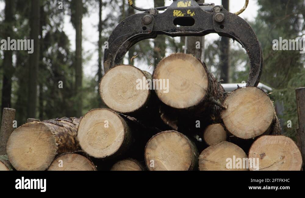 CLOSE UP: Logging truck's swing arm lifting and loading pile of tree ...