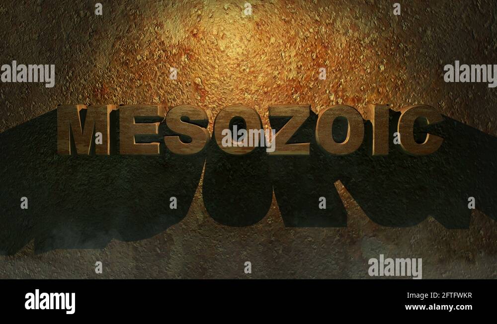Mesozoic fossils Stock Videos & Footage - HD and 4K Video Clips - Alamy