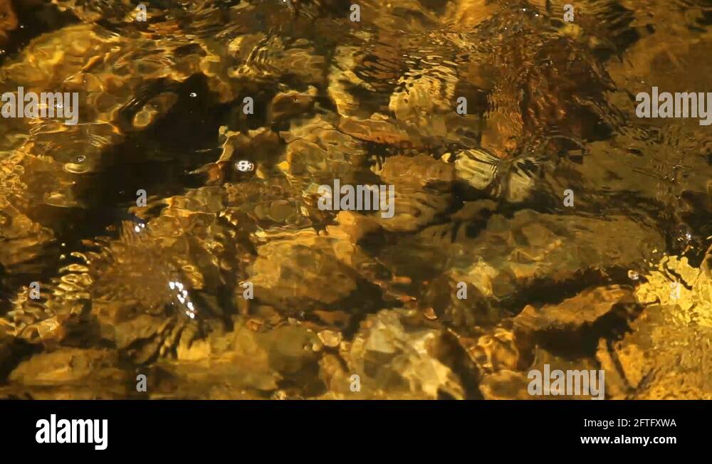 Gold river rocks Stock Videos & Footage - HD and 4K Video Clips - Alamy