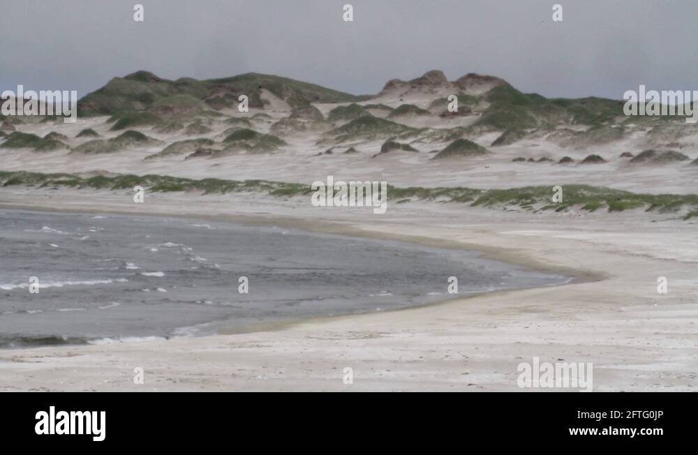 Commander islands Stock Videos & Footage - HD and 4K Video Clips - Alamy