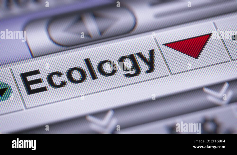 Eco conservation ecology recycle energy reuse global earth globe Stock ...