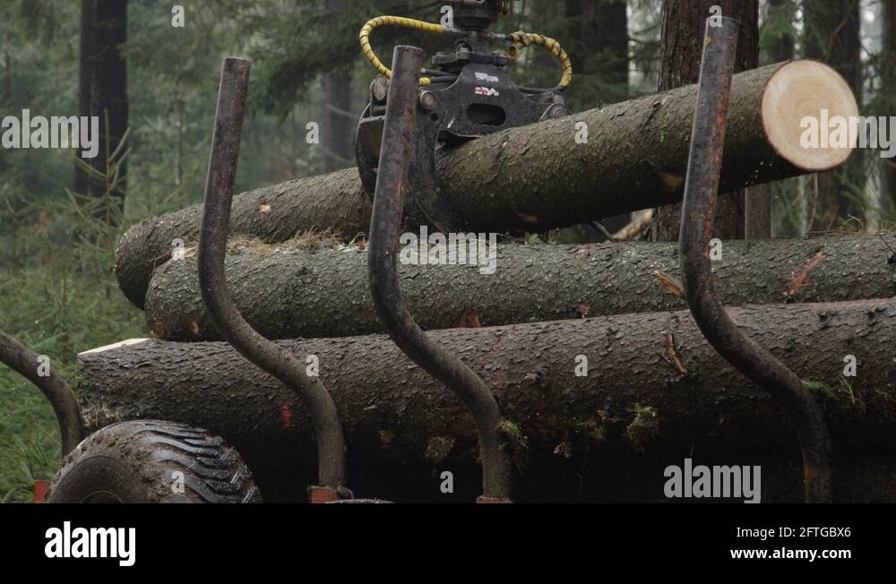 Loading logging truck Stock Videos & Footage - HD and 4K Video Clips ...
