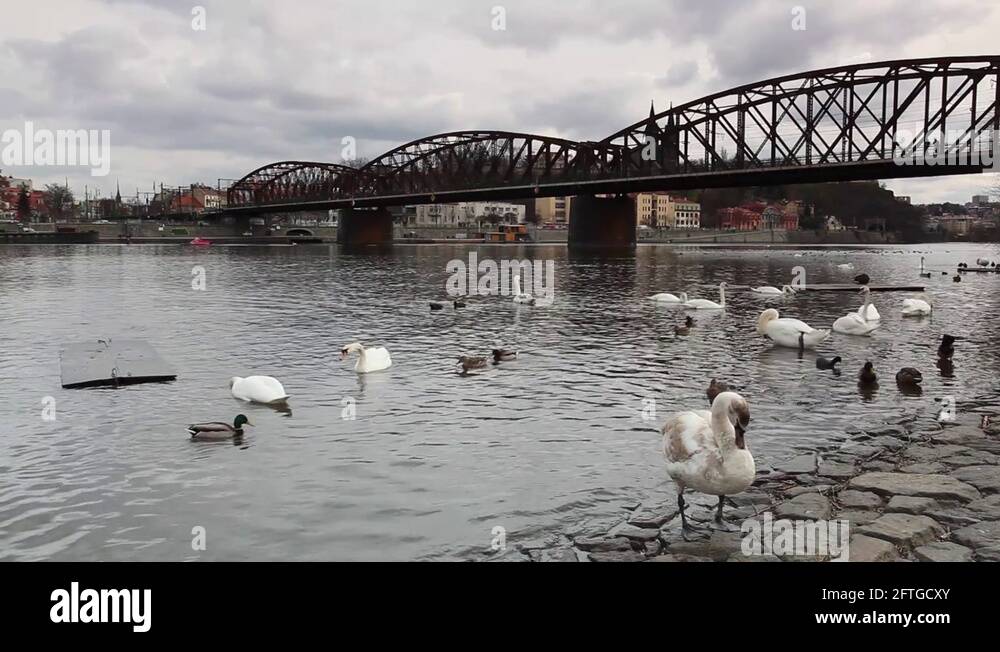 Prague railway bridge Stock Videos & Footage - HD and 4K Video Clips ...
