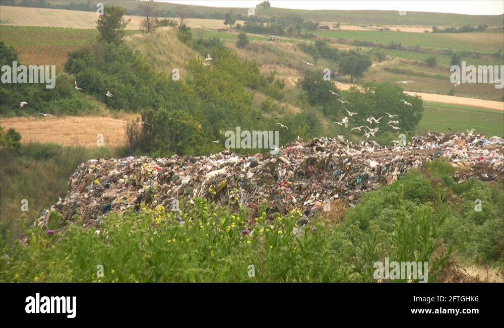 Garbage dump dumping Stock Videos & Footage - HD and 4K Video Clips - Alamy