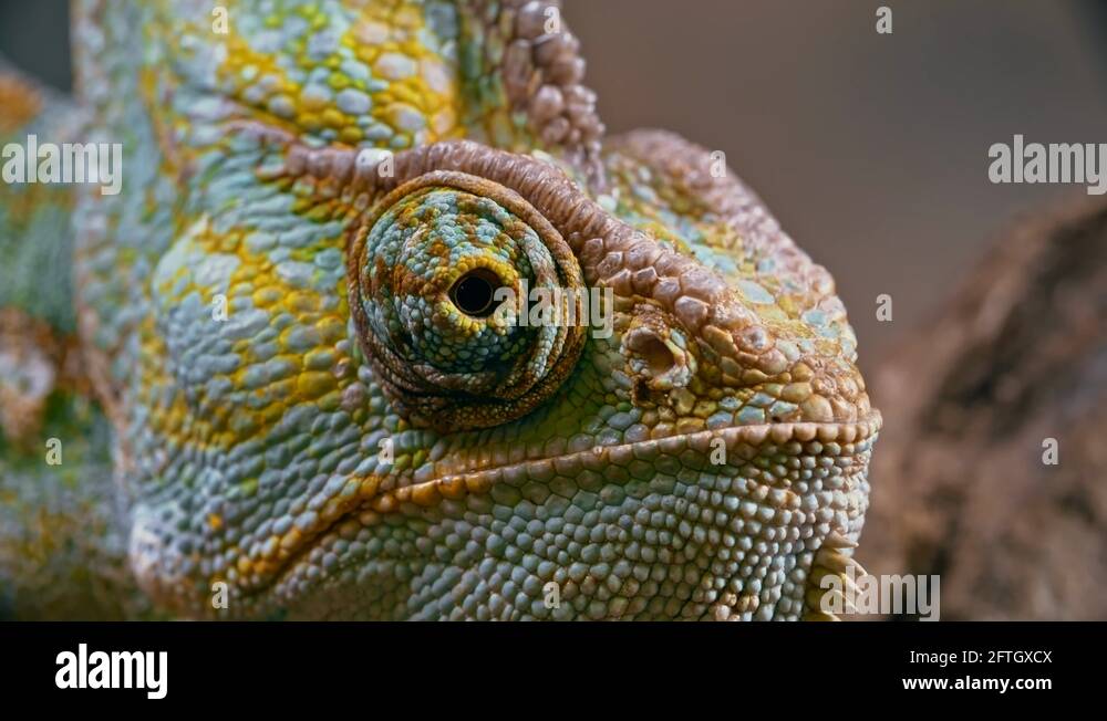 Have vision Stock Videos & Footage - HD and 4K Video Clips - Alamy