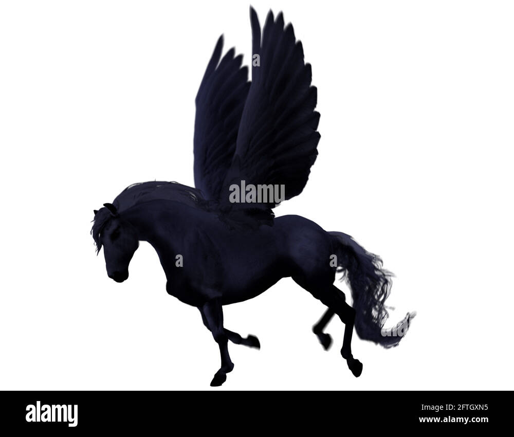 Flying cycle Stock Videos & Footage - HD and 4K Video Clips - Alamy