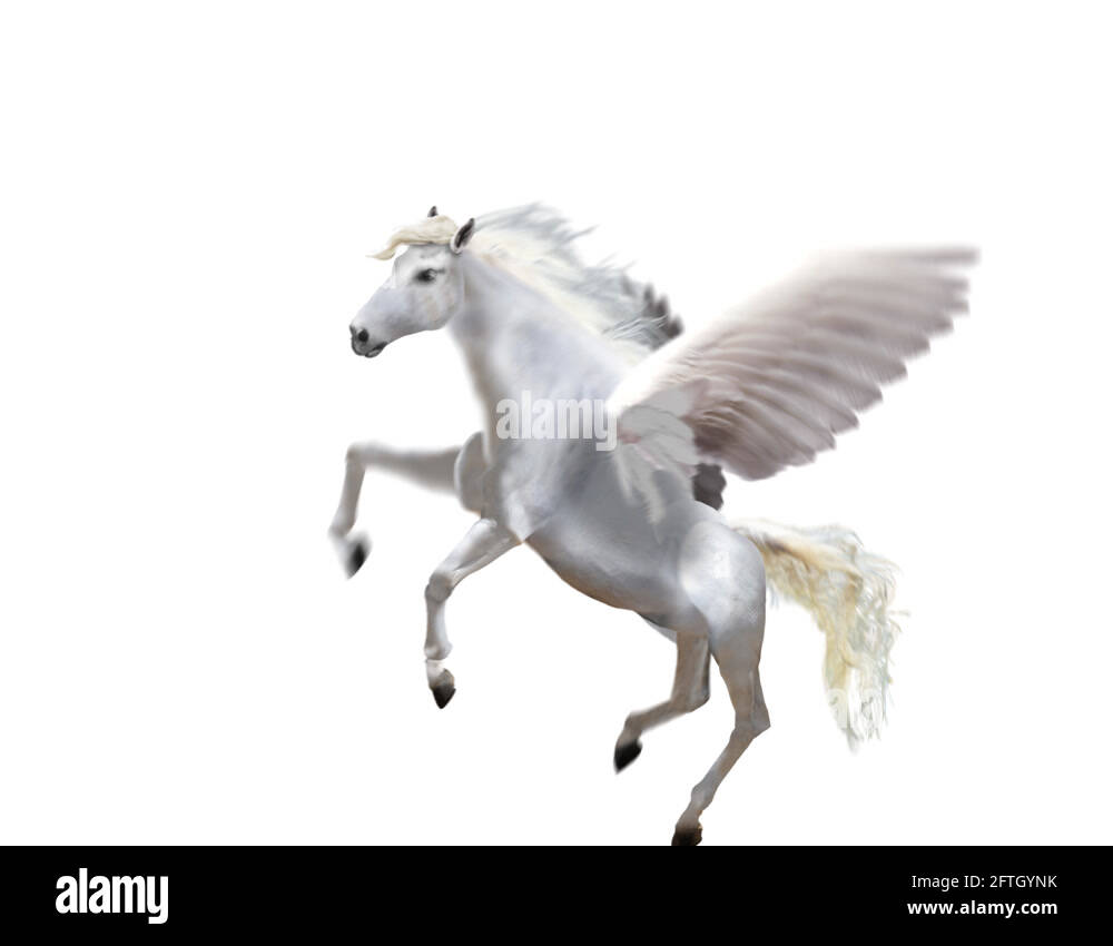 Rearing Stock Videos & Footage - HD and 4K Video Clips - Alamy