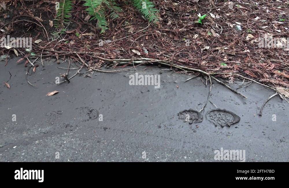 Footprint evidence in the mud Stock Video Footage - Alamy