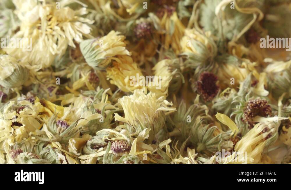 Dried calendula flower Stock Videos & Footage - HD and 4K Video Clips ...