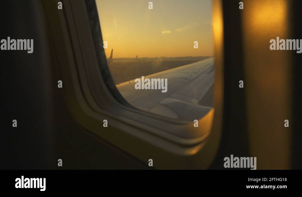 Left wing Stock Videos & Footage - HD and 4K Video Clips - Alamy