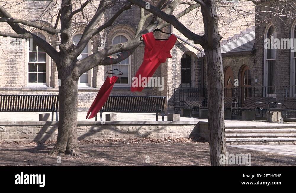 Red dresses hang from trees in memory of missing and murdered ...