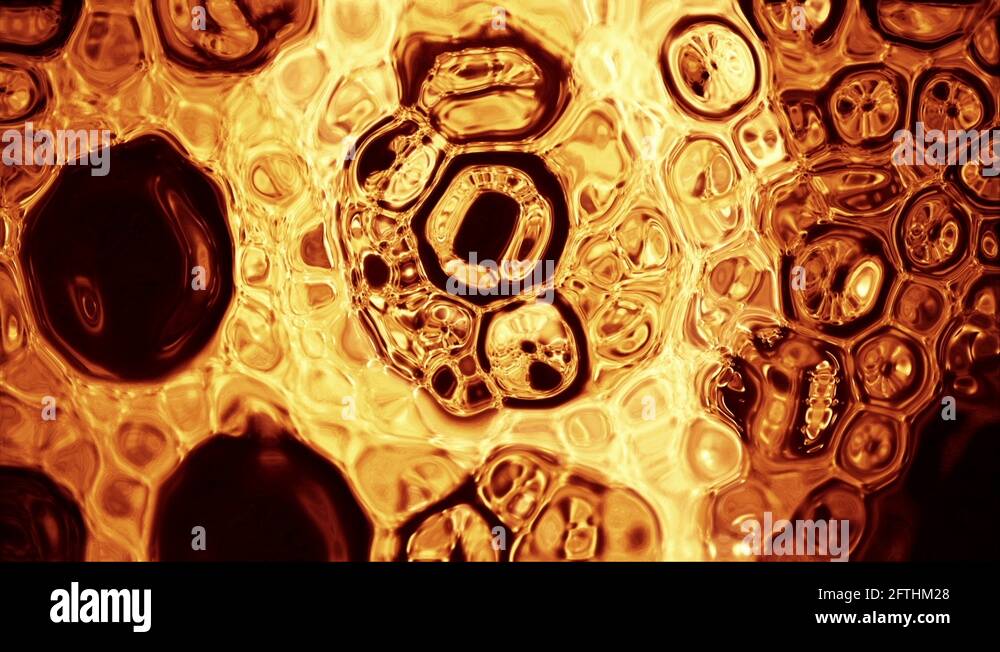 Abstract fluid forms pulse, ripple and flow - Video Background 1407 HD ...