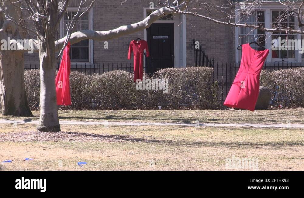 Red dresses hang from trees in memory of missing and murdered ...