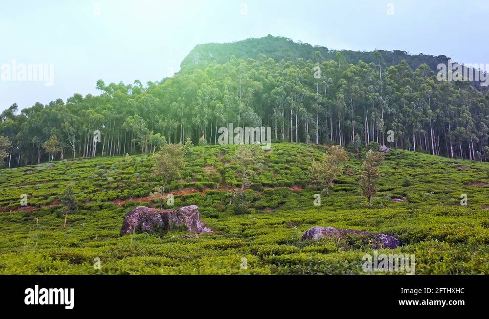 Highland environment Stock Videos & Footage - HD and 4K Video Clips - Alamy