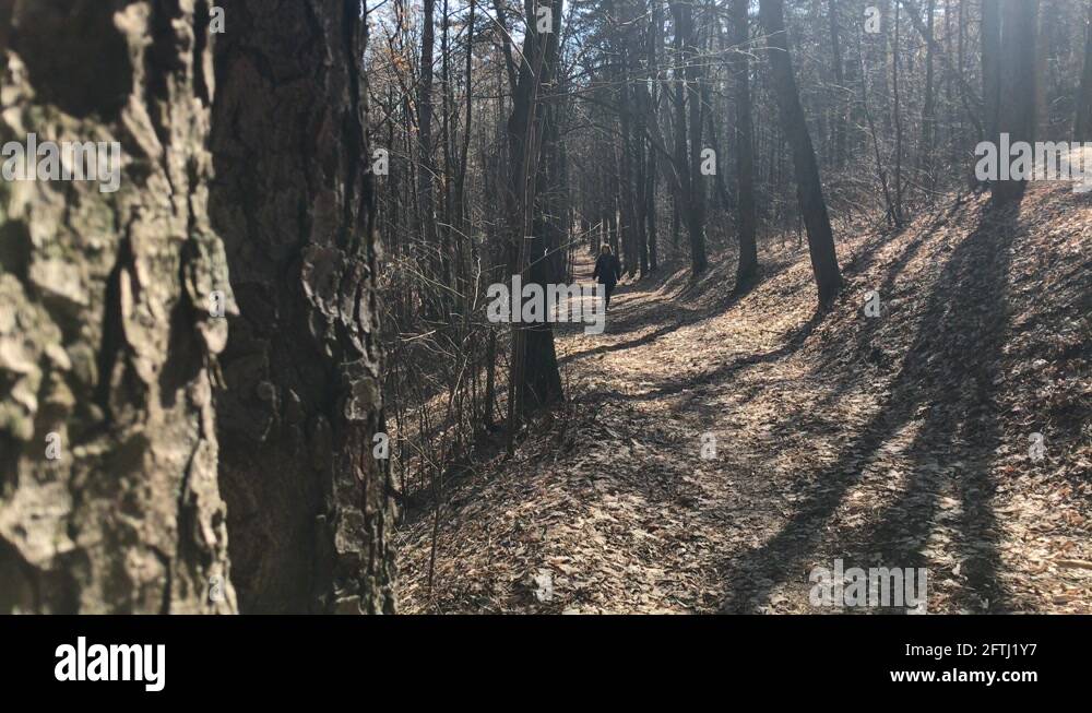 Female stalker Stock Videos & Footage - HD and 4K Video Clips - Alamy