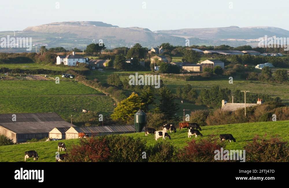 Cornwall farmland Stock Videos & Footage - HD and 4K Video Clips - Alamy