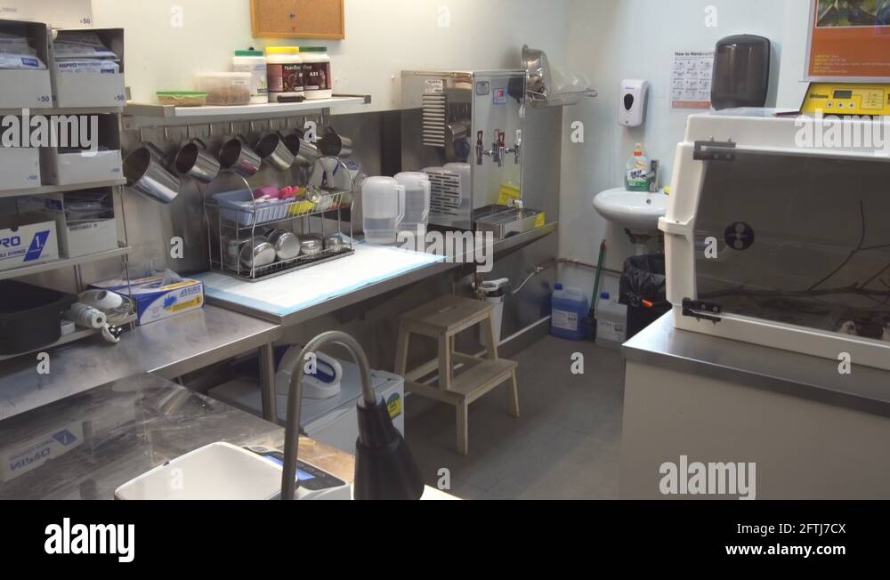 Bird discovery Stock Videos & Footage - HD and 4K Video Clips - Alamy