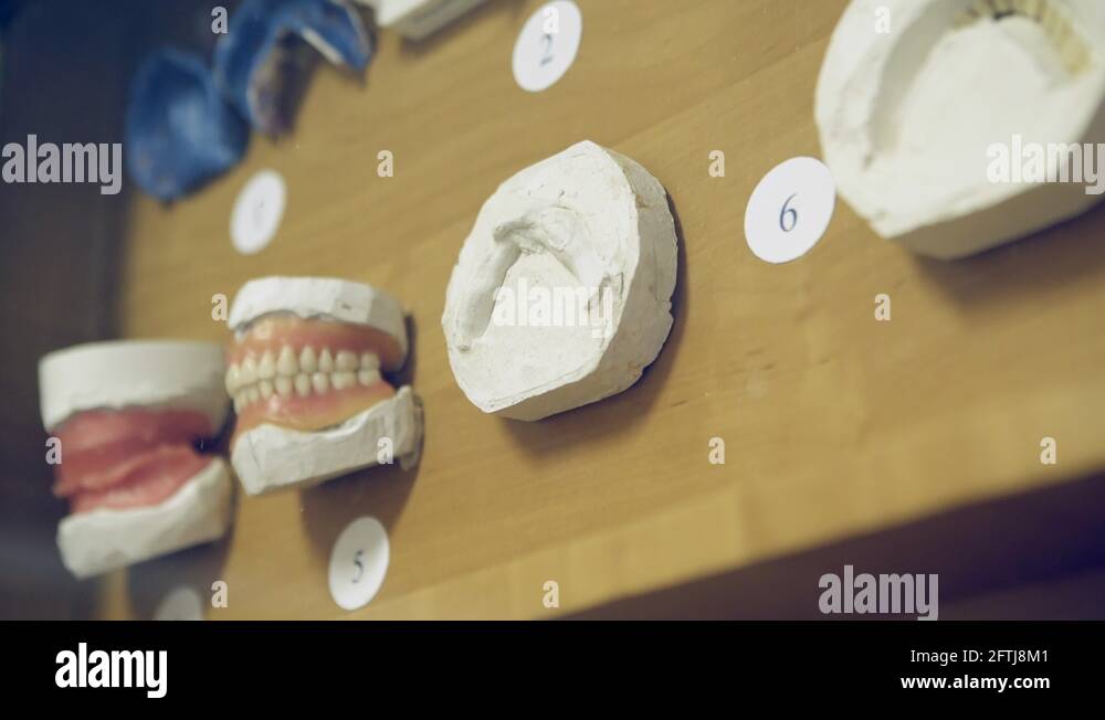 Plaster cast models Stock Videos & Footage - HD and 4K Video Clips - Alamy